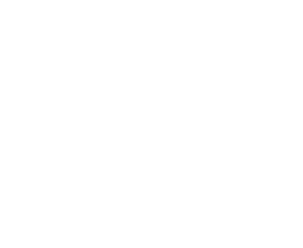 PayPLUS Payroll Service Like No Other!