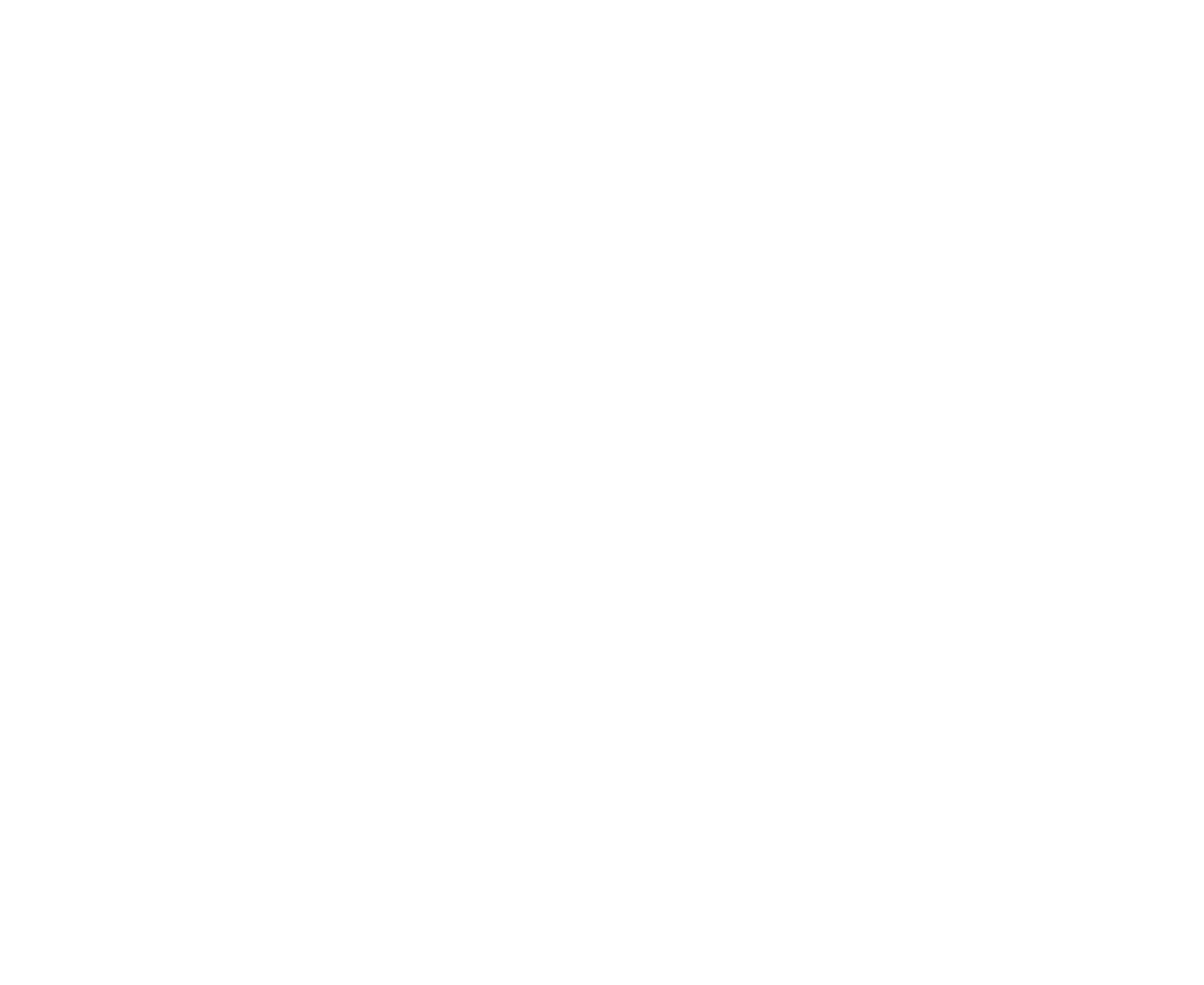 Services - HR Solutions - PayPLUS