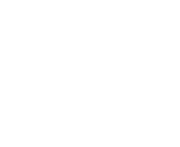 PayPLUS Payroll Service Like No Other!
